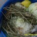 Reteta Pepene verde murat (lubenita, harbuz)