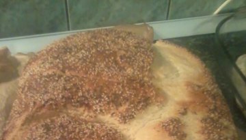 Reteta Pita, paine libaneza