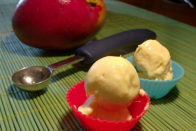 Reteta Inghetata de mango
